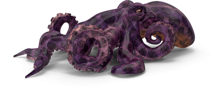 15 Interesting Facts About Octopuses! - Prongo.com